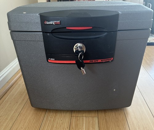 SentrySafe H4300 FIRE-SAFE Waterproof/Fireproof File Chest, with 2 Keys ...