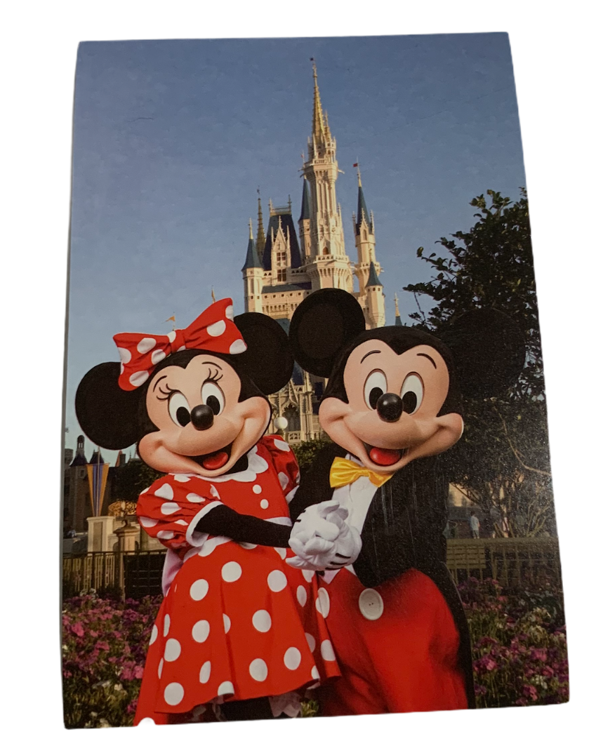 Disney World Magic Kingdom Postcard