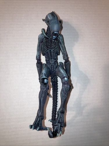 Neca Alien Vs. Predator Arachnoid Alien Action Figure | eBay