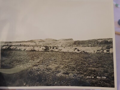 Orig 1930 Corona Ash Dump Queens New York City NYC 8x10 Photo Worlds ...