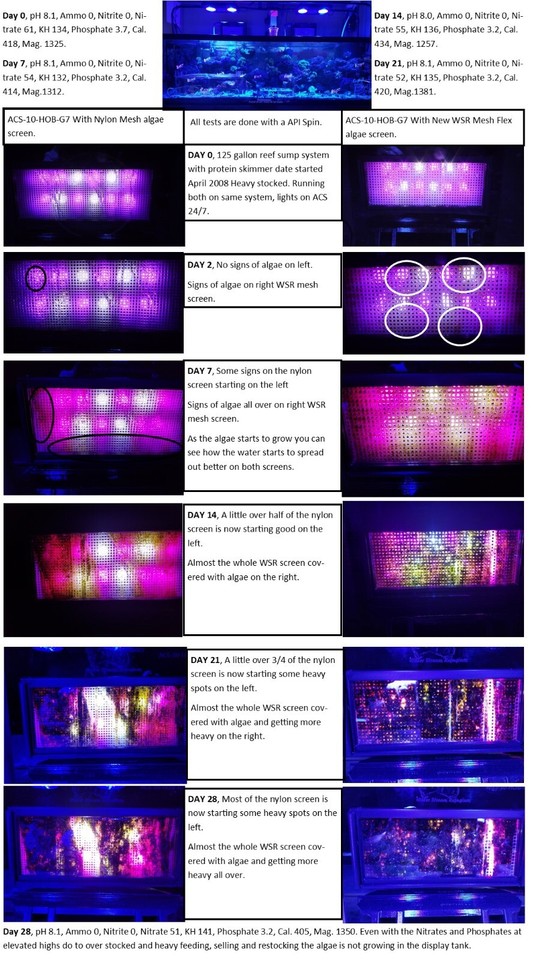 Algae Clean Scrubber Hang on Sump ACS-10-SS-G7 with NEW Algae Flex ...