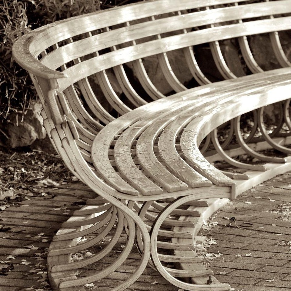 Earlex Steam Generator Wood Bending Steamer Project 1.3 Gallon Tank ...