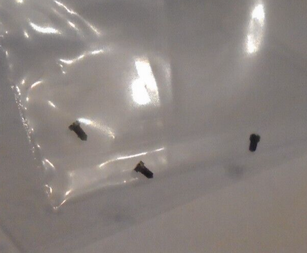 HAMILTON 12 SIZE POCKET WATCH DIAL FOOT SCREWS #402071-192 ------ D-180 ...