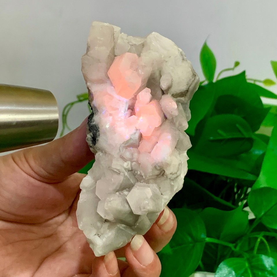 168G Natural Transparent White Fluorescent Calcite Crystal Quartz ...