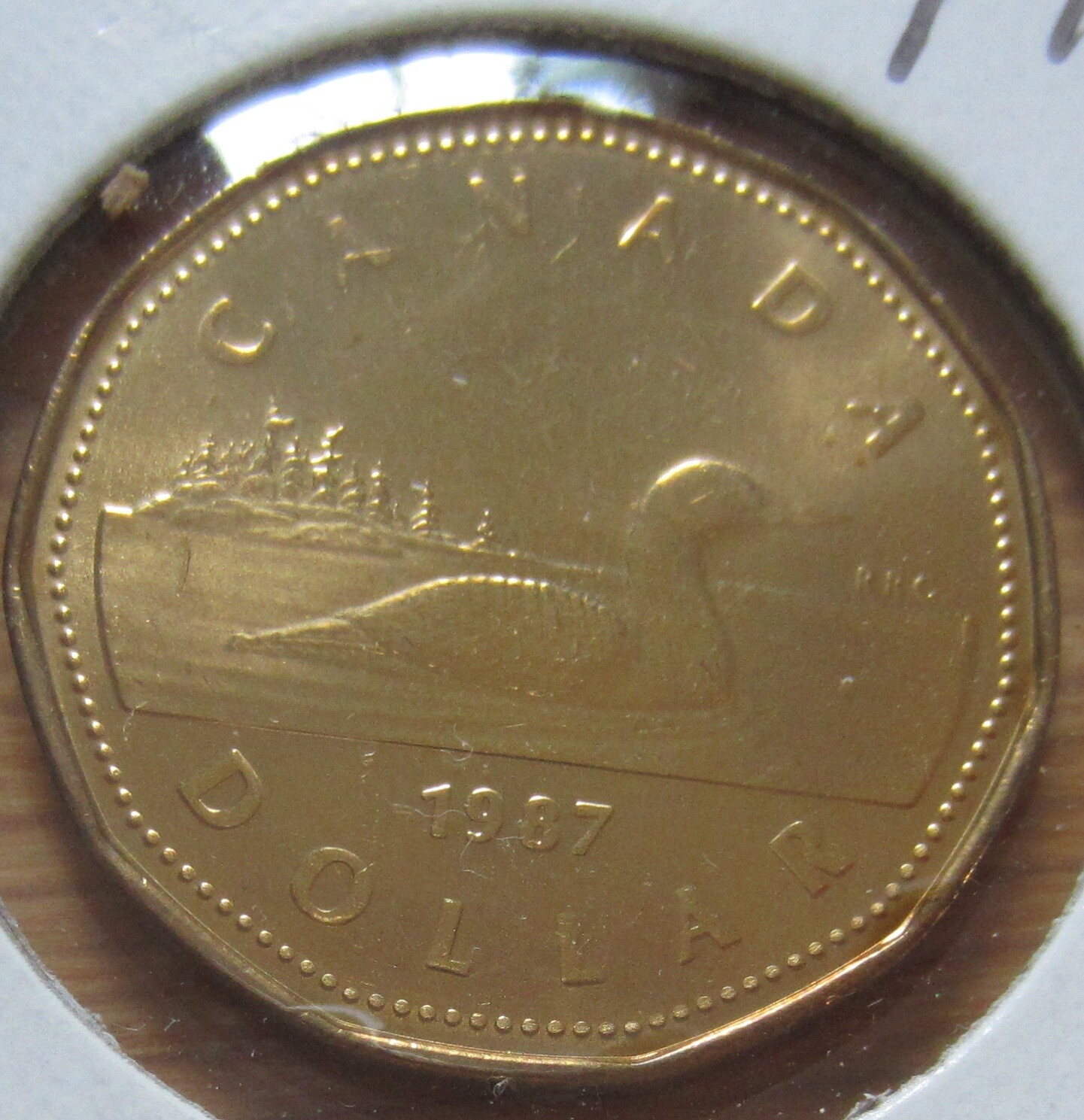 1987 Canada First Loonie. UNC. One Dollar Canadian $1 Loon Coin | eBay
