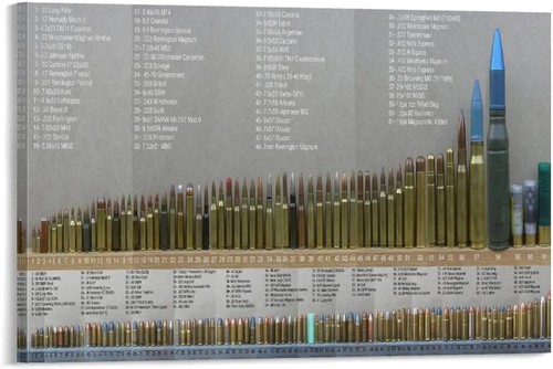 Canvas Poster American Bullet Chart Poster Bullet Caliber Types Chart ...