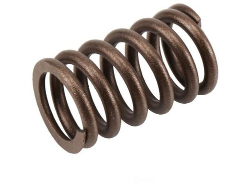 For 1996-2004 Chevrolet S10 Valve Spring AC Delco 21268WGSP 1997 1998 ...