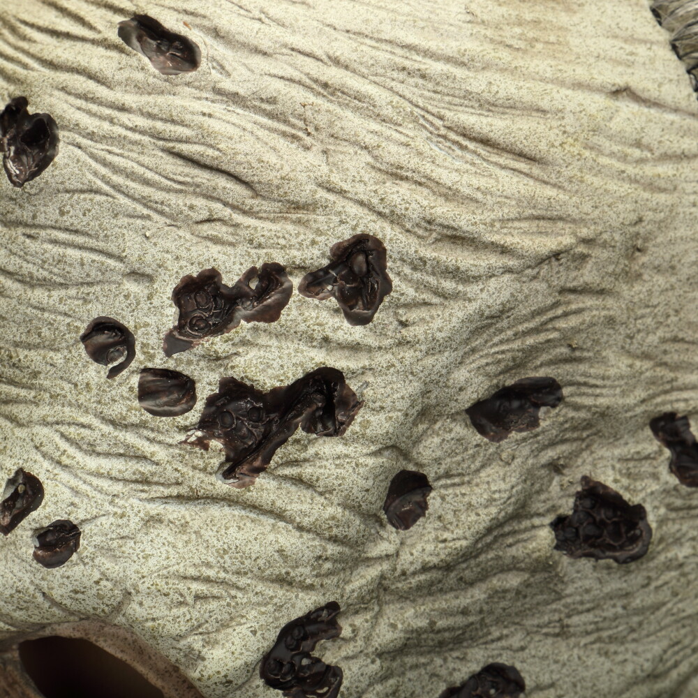 Zombie Mask Cosplay The Walking Dead Whisperers Beta Mask Halloween ...