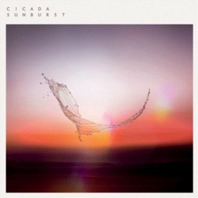 Cicada Sunburst (CD) Album | eBay