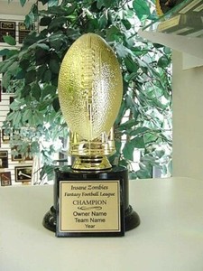 FLYING W AWARDS | eBay Stores