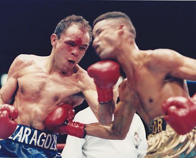 DANIEL ZARAGOZA 8X10 PHOTO BOXING PICTURE ACTION | eBay