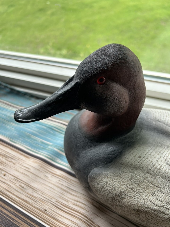 BULL CANVASBACK DUCK DECOY! COA! | eBay