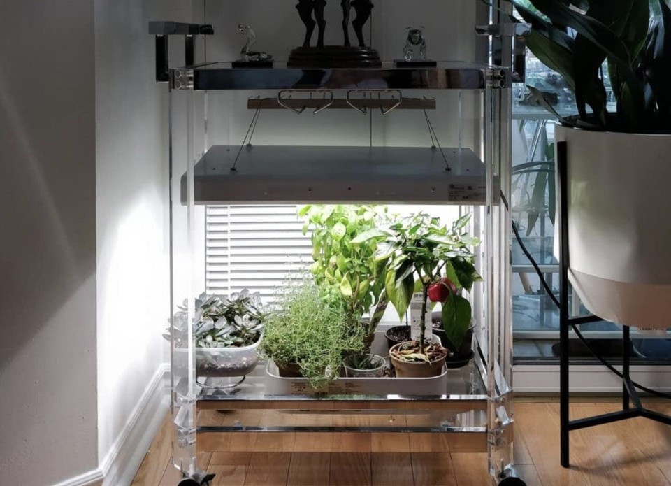 T5 Grow Light Fixture 2FT - 4X12W T5 HO LED Grow Light Bulb 120V | eBay