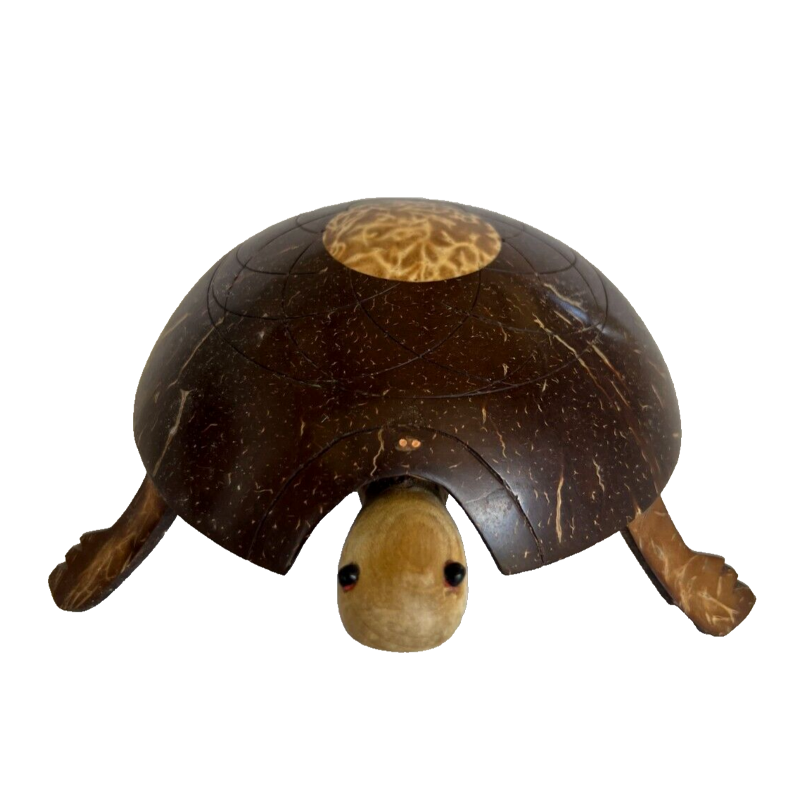 KING COCONUT SHELL TURTLE ORNAMENT Shine Design New | eBay