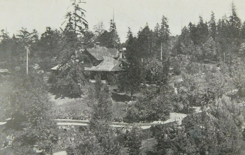 The Lodge Point Defiance Park Tacoma Washington Divided Back Vintage ...