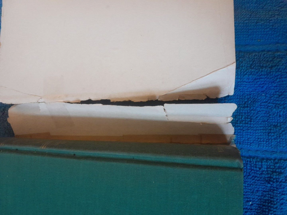 1938 Suwannee River Strange Green Land Matschat HB Florida History DJ ...