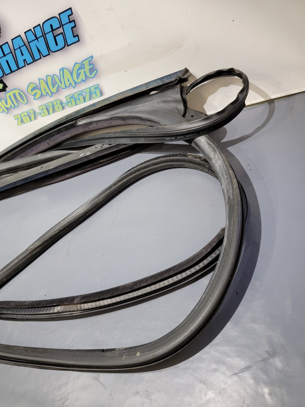 BMW E46 M3 Convertible Windshield Door Weather Strip Seal 3 Series Oem ...