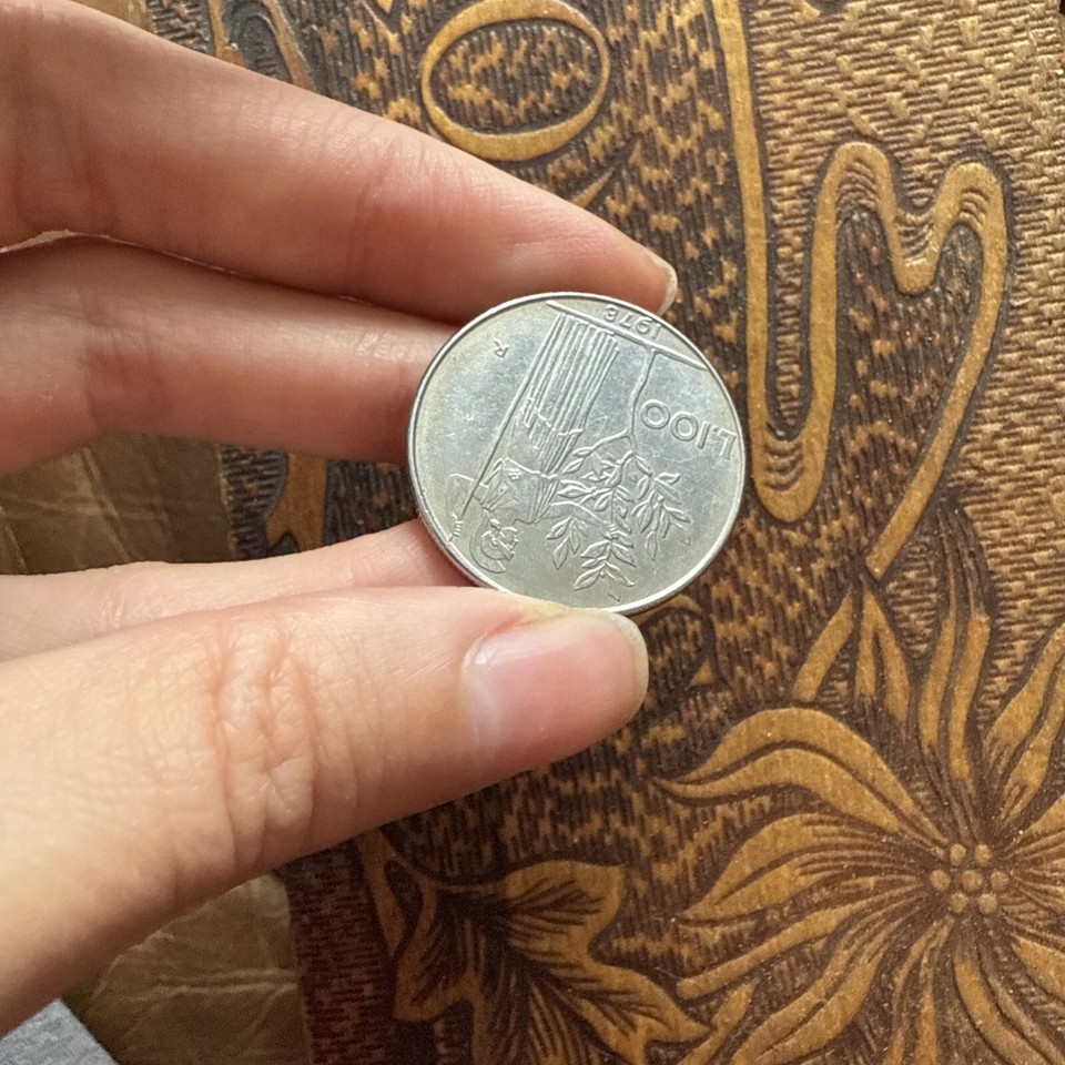 ITALIAN L100 LIRA COIN 1978 Beautiful Coin! | eBay