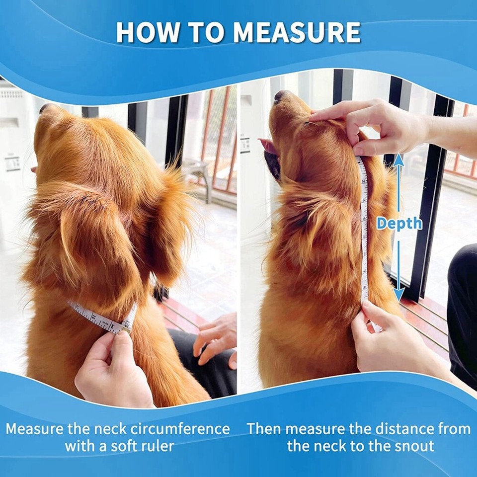 Pet Dog Cat Anti-Bite Neck Cone Recovery Circle Wound Healing ...