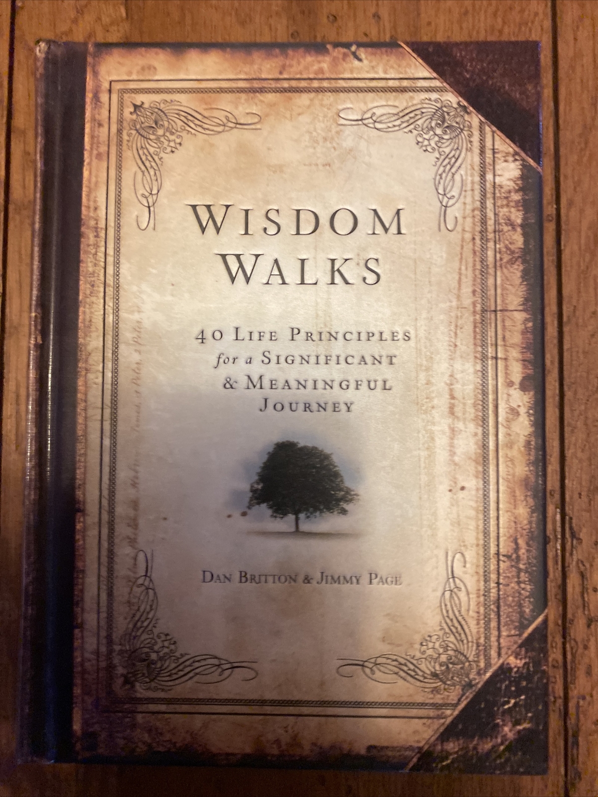 Wisdom Walks : 40 Life Principles for a Significant and Meaningful ...
