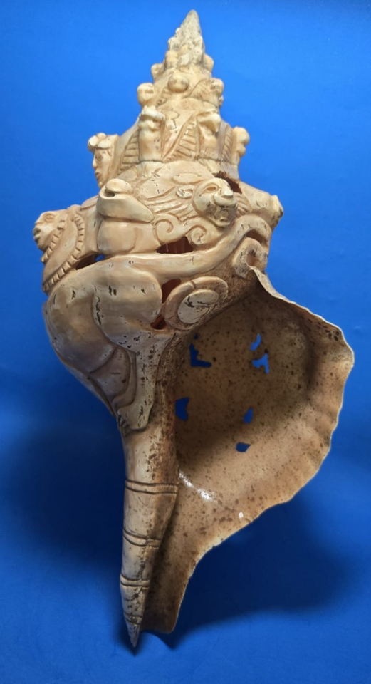PRE-COLUMBIAN MAYAN SHELL | eBay