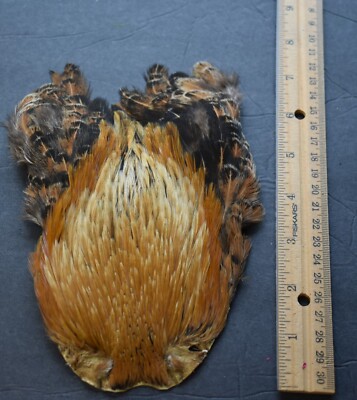 Lot 145, Natural India Rooster Streamer Neck Cape Feathers Fly Tying | eBay