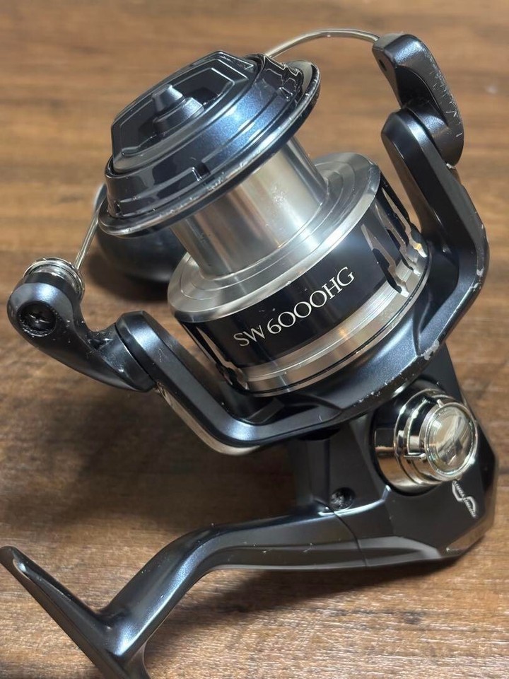 Shimano 20 Stradic SW 6000 HG Spinning Reel from Japan | eBay