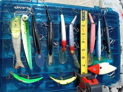 Tackle Boxes - Bait File