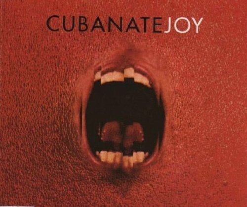 Cubanate Joy (1996) [Maxi-CD] | eBay