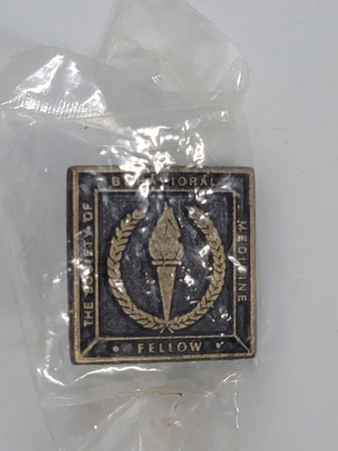 The Society of Behavioral Medicine Fellow Torch Souvenir Vintage Lapel ...