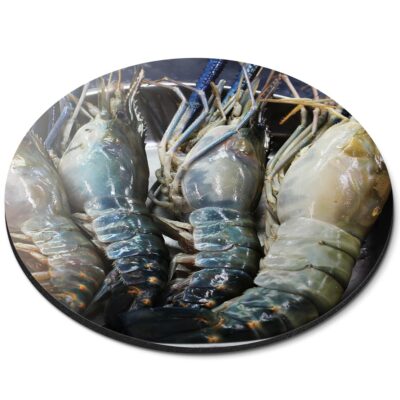 Round Mouse Mat Giant Freshwater Prawns Food Cafe Fish #51012 | eBay UK