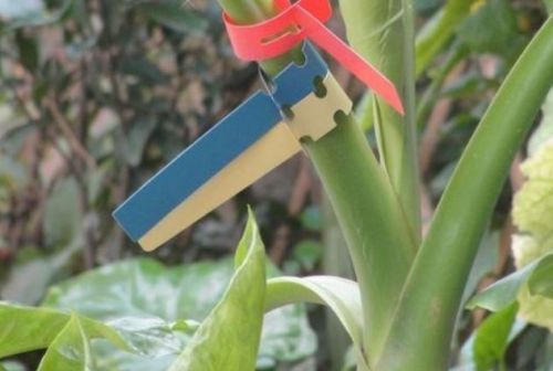 120PCS Wrap around tree tags 8"x3/4" vinyl plastic nursery plant label ...