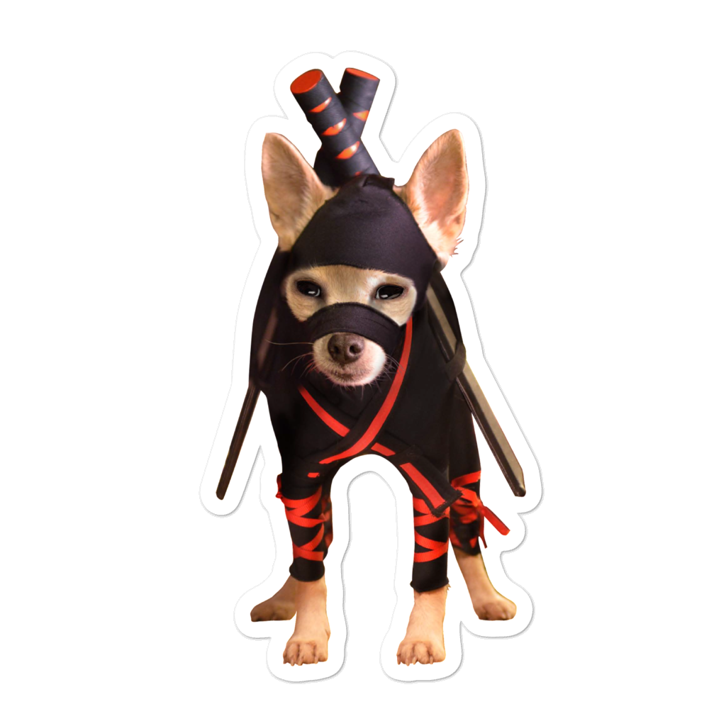 Ninja Dog
