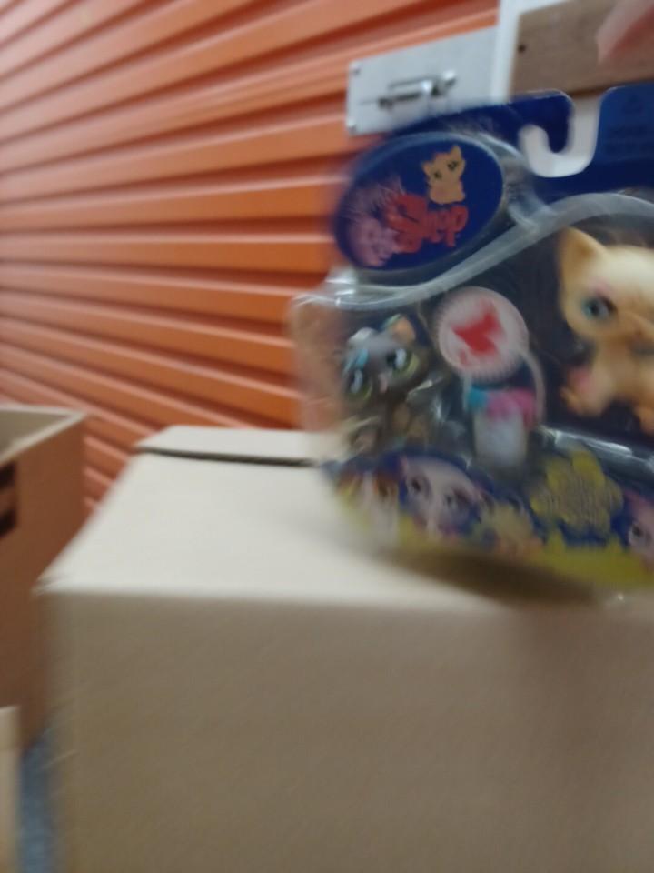 Last New LPS Littlest Pet Shop 815 816 Cat Paint Pair Messiest Pets NIB ...