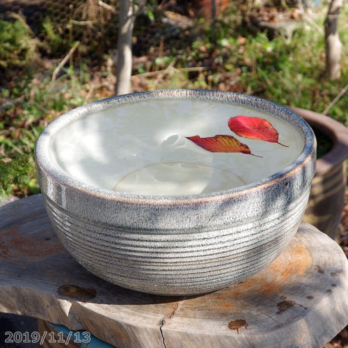 Available For Next Day Delivery, Shigaraki Ware, Water Lily Bowl ...