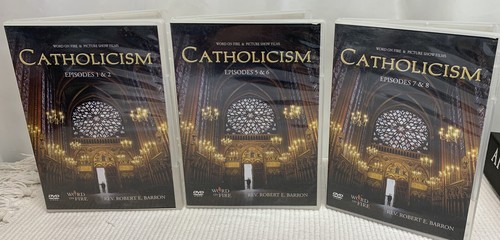 Catholicism Dvd Set Rev Robert E Barron Episodes 1,2,5,6,7,8 | eBay