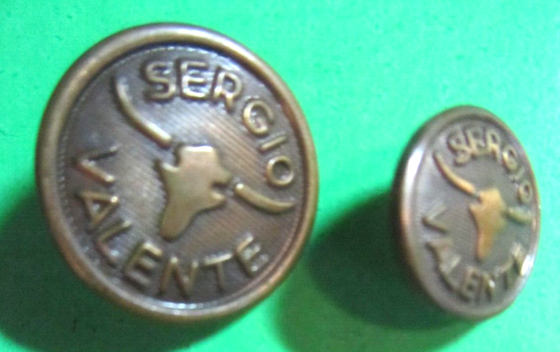 (2)VINTAGE SERGIO VALENTE LONGHORN SKULL LOGO METAL MOTHER DAUGHTER ...