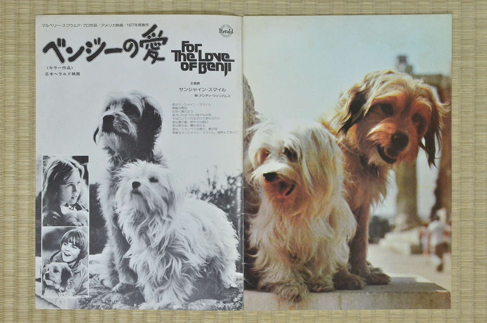 For the Love of Benji Japan Movie Program 1977 Benjean Joe Camp Patsy ...