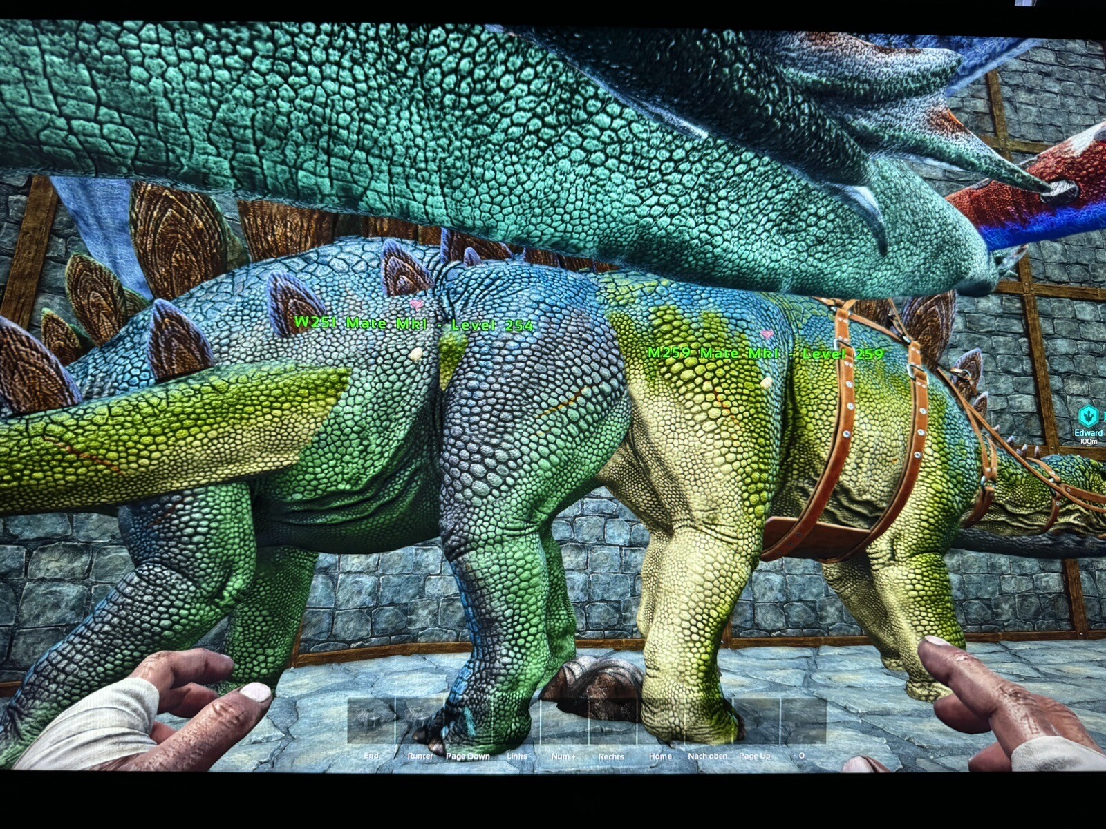 ARK Survival Evolved Ascended Offiziell PVE Server Boss Stego Egg ...