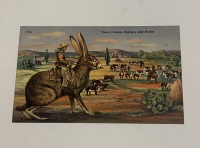 Postcard Texas Cowboy Riding a Jack Rabbit Exaggerated Bunny Cactus ...