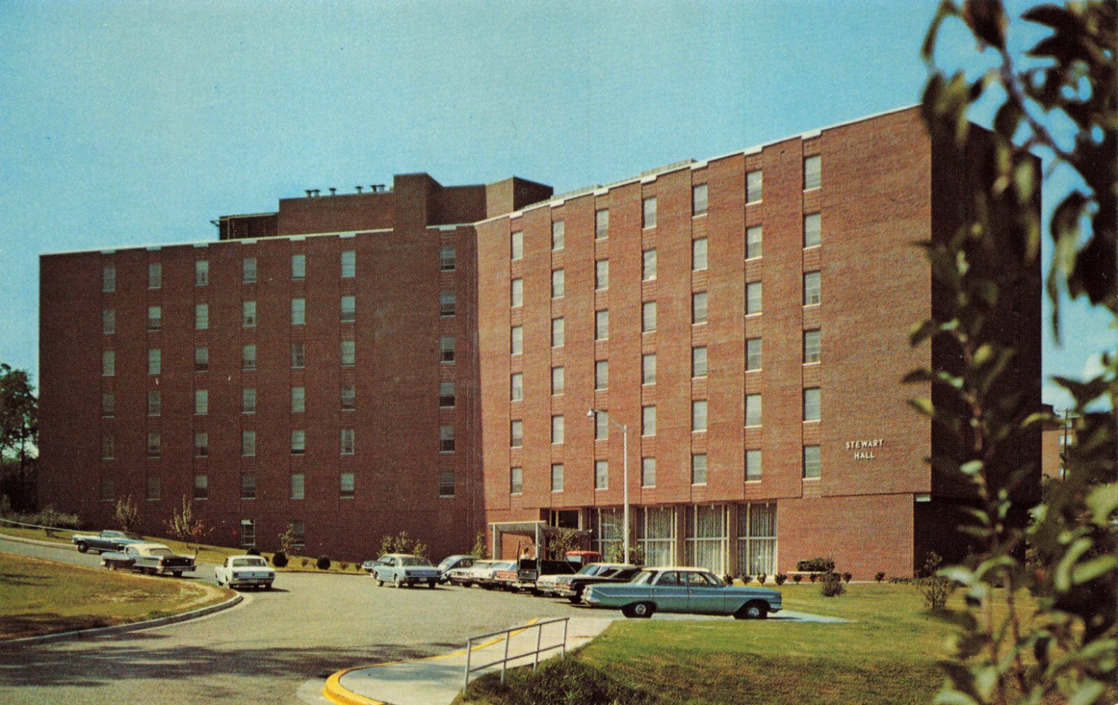 Postcard MS University of Mississippi Rebels Campus Ole Miss Stewart ...