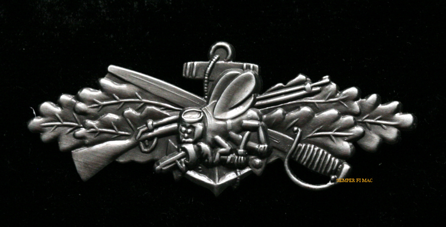 SEABEES COMBAT WARFARE BADGE MINI LAPEL PIN UP ENLISTED SEABEE US NAVY ...