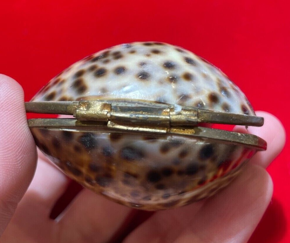 Vintage Natural Tiger Cowrie Shell Polka Dot Hinged Gold Trinket Box ...