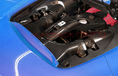 Ferrari 488 Spider Carbon Fiber Engine Bay 4pc Set, Side Panels, Center ...