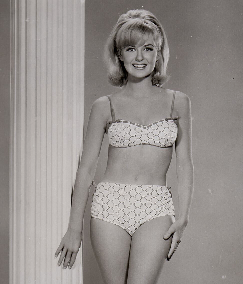 SHELLEY FABARES busty leggy actress ORIG PHOTO 8x10 two piece swimsuit pin-up | eBay