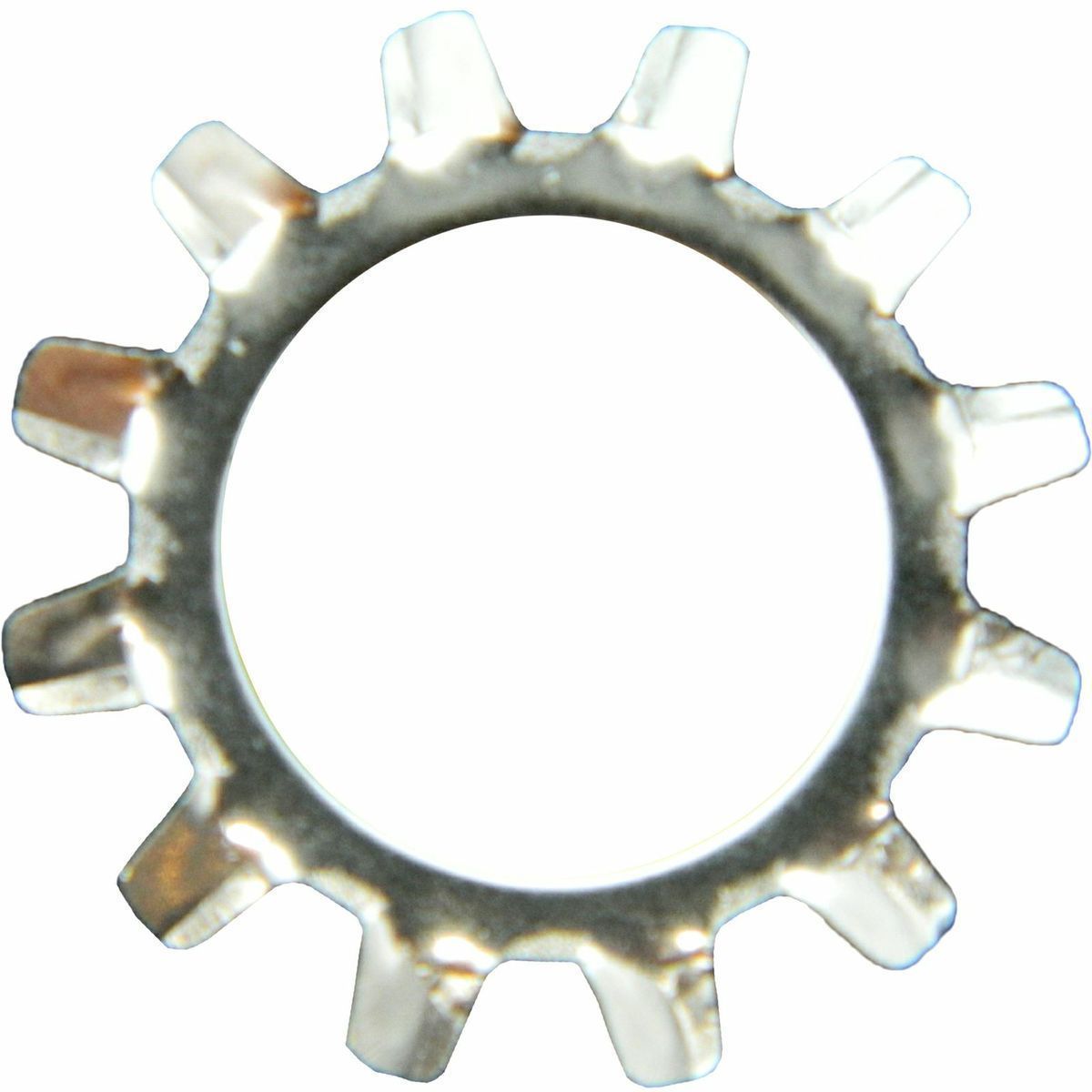 Stainless Steel EXTERNAL TOOTH Star LOCK WASHERS #8 Qty 250 | eBay