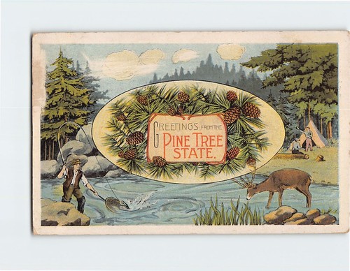 Postcard Greetings from the Pine Tree State Maine USA | eBay