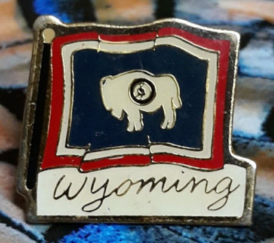 Vintage Wyoming Enamel Travel Souvenir Lapel Pin | eBay