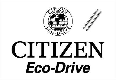 2 x STEEL SPRING BARS FOR CITIZEN ECO-DRIVE WATCHES 17 18 20 21mm 22mm ...