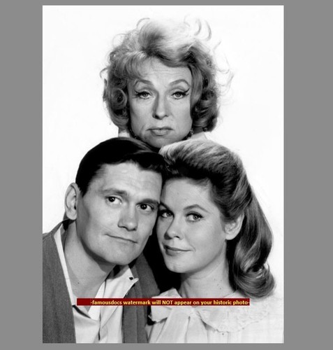 Bewitched Cast PHOTO Publicity Pic Television Series TV Show 64 | eBay